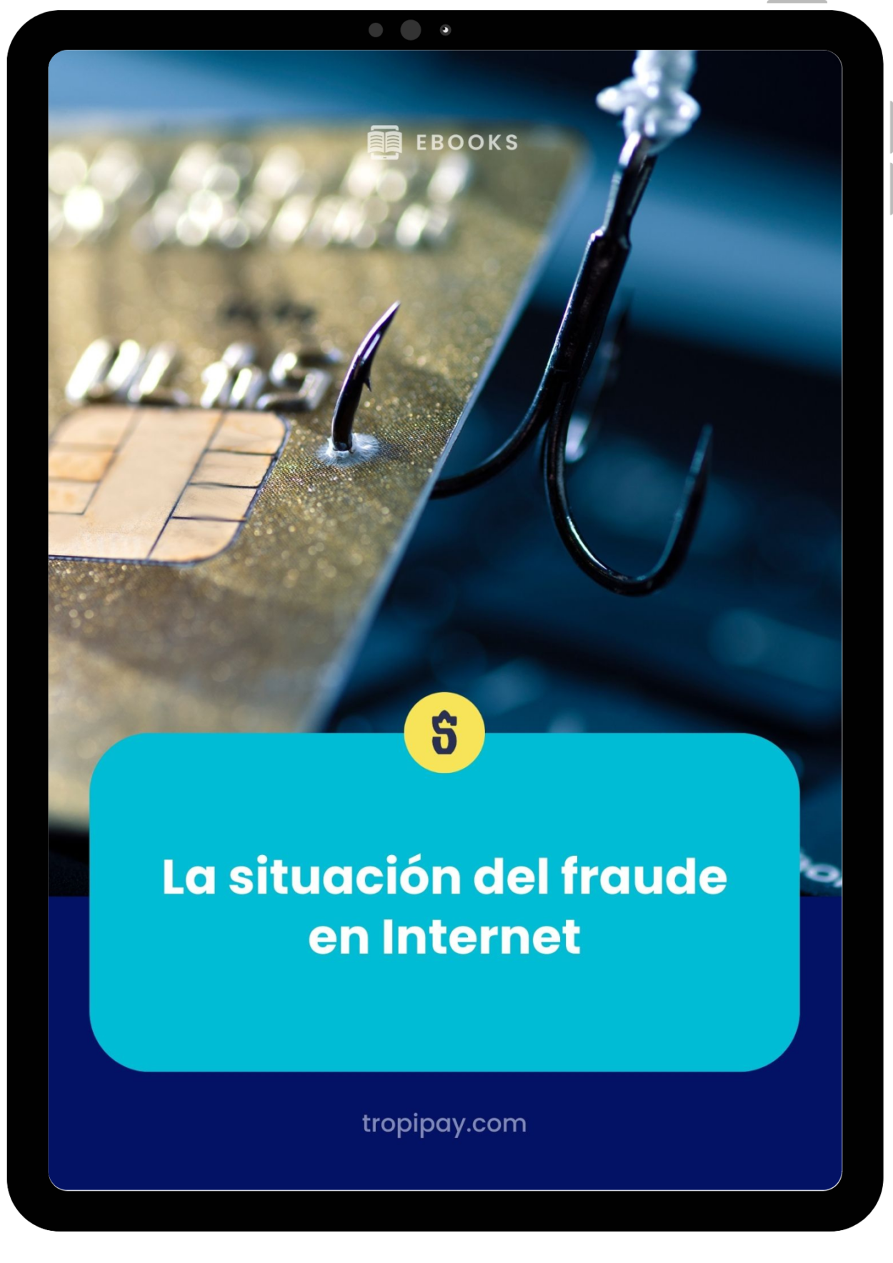 Guía La situación del fraude en Internet - TropiPay Blog